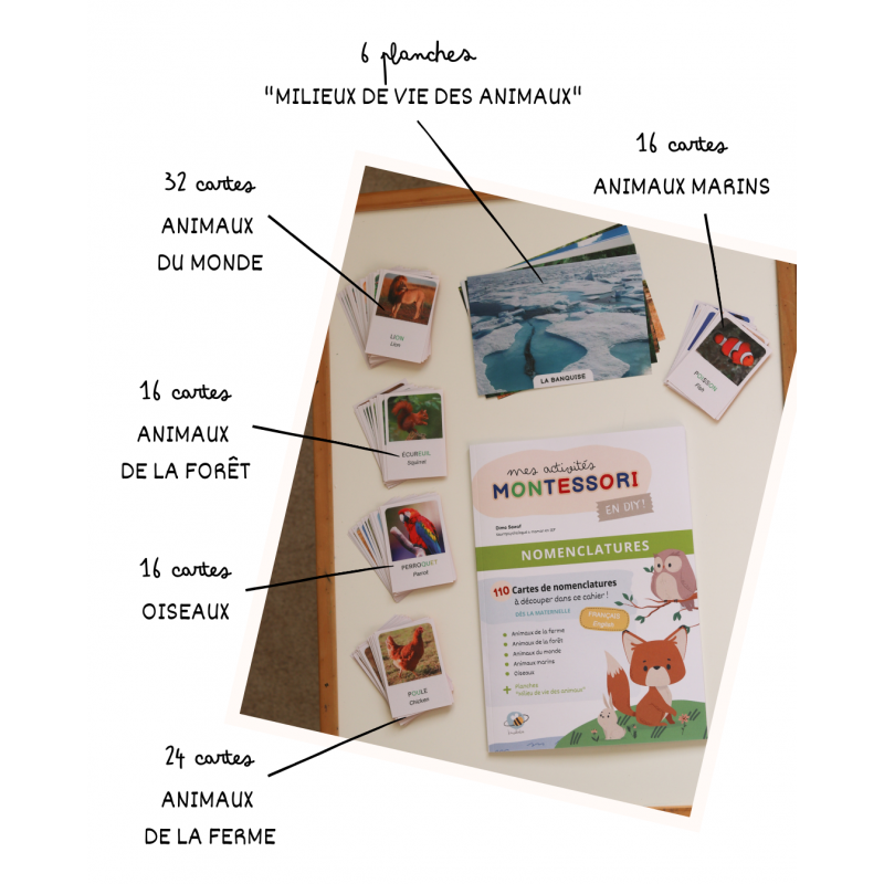 Nomenclature montessori des animaux : Français : Arabe